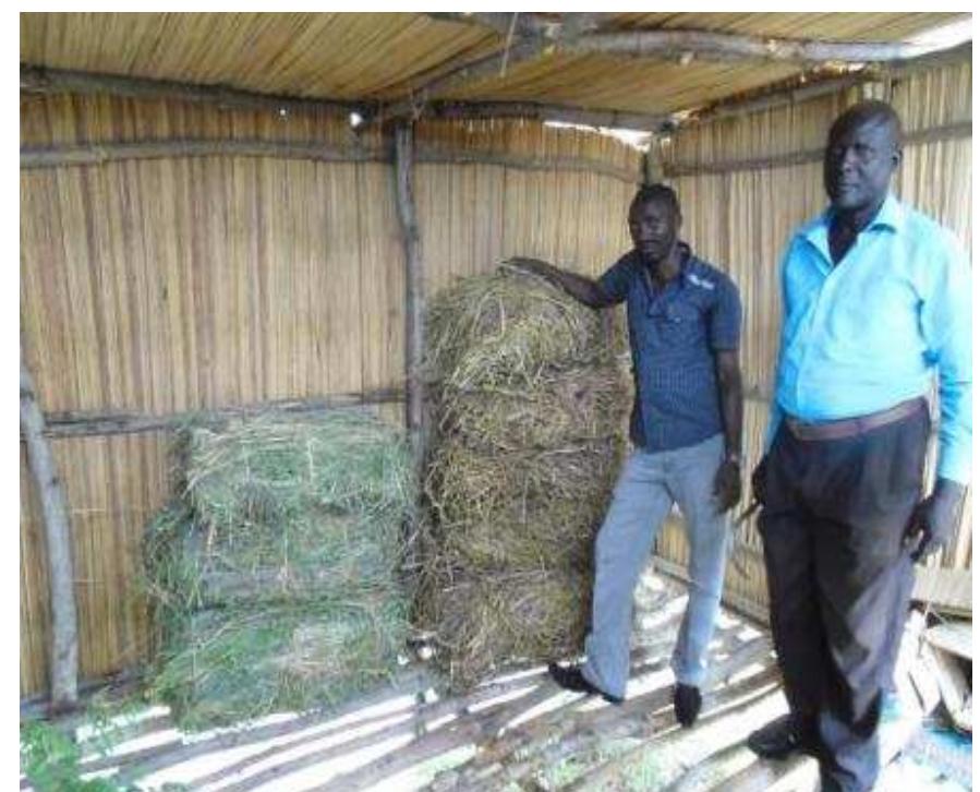Step 10: hay store for future use.
