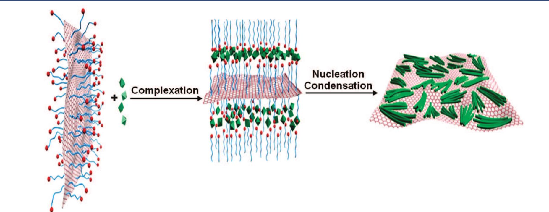 Schematic drawing of self-assembly of anatase tio2/graphene