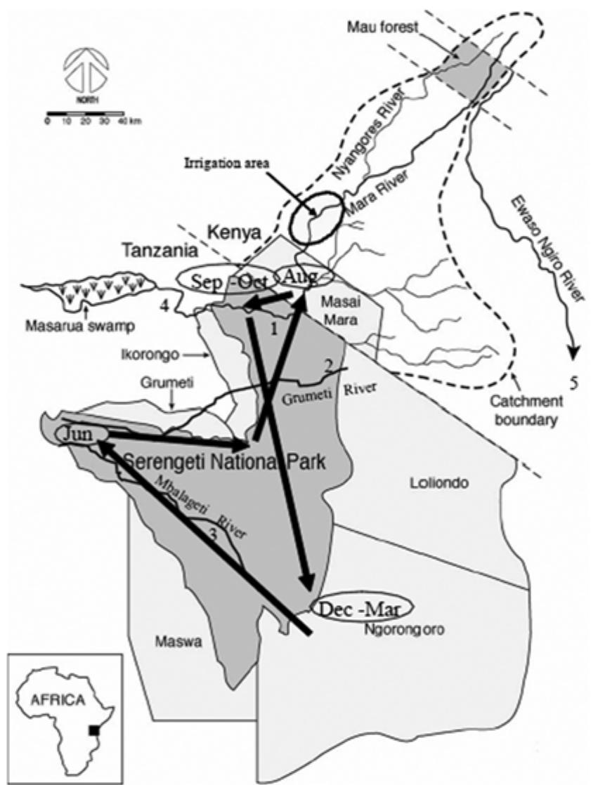 Map of the serengeti ecosystem. the arrows and months