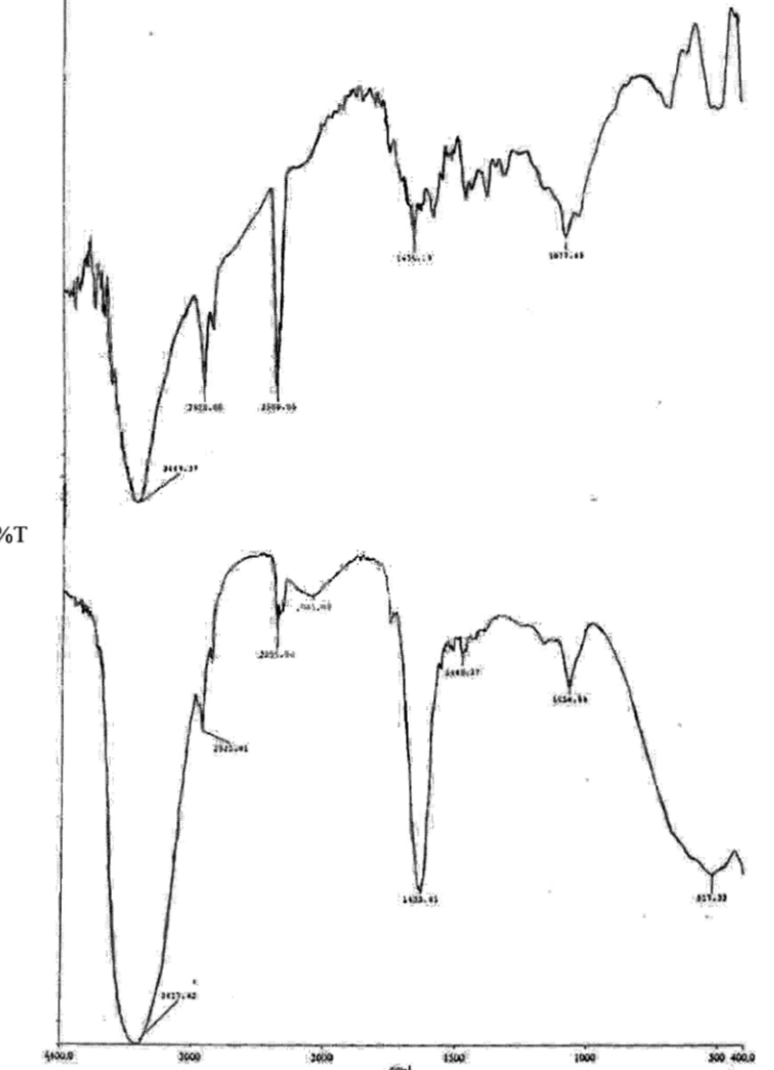 Ftir spectra of (a) chitosan polymer and (b) cross-linked
