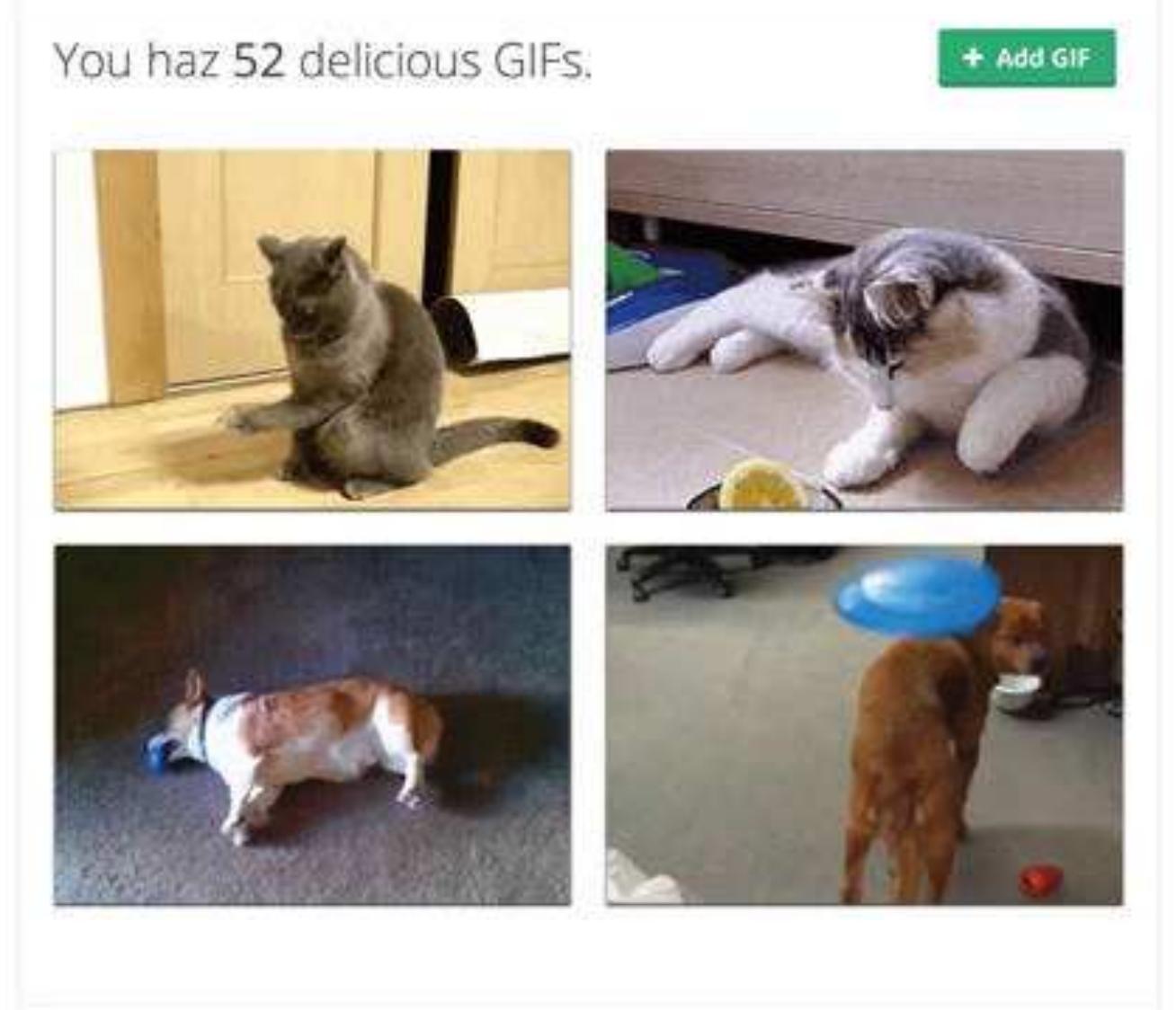 Glftastic the original animated gif aggregator our creation