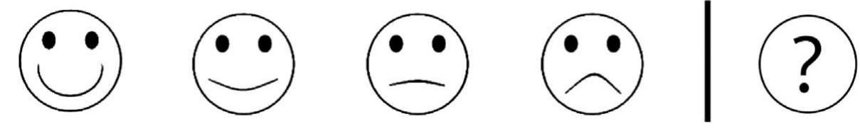 The pictorial likert scale that was used in the classroom