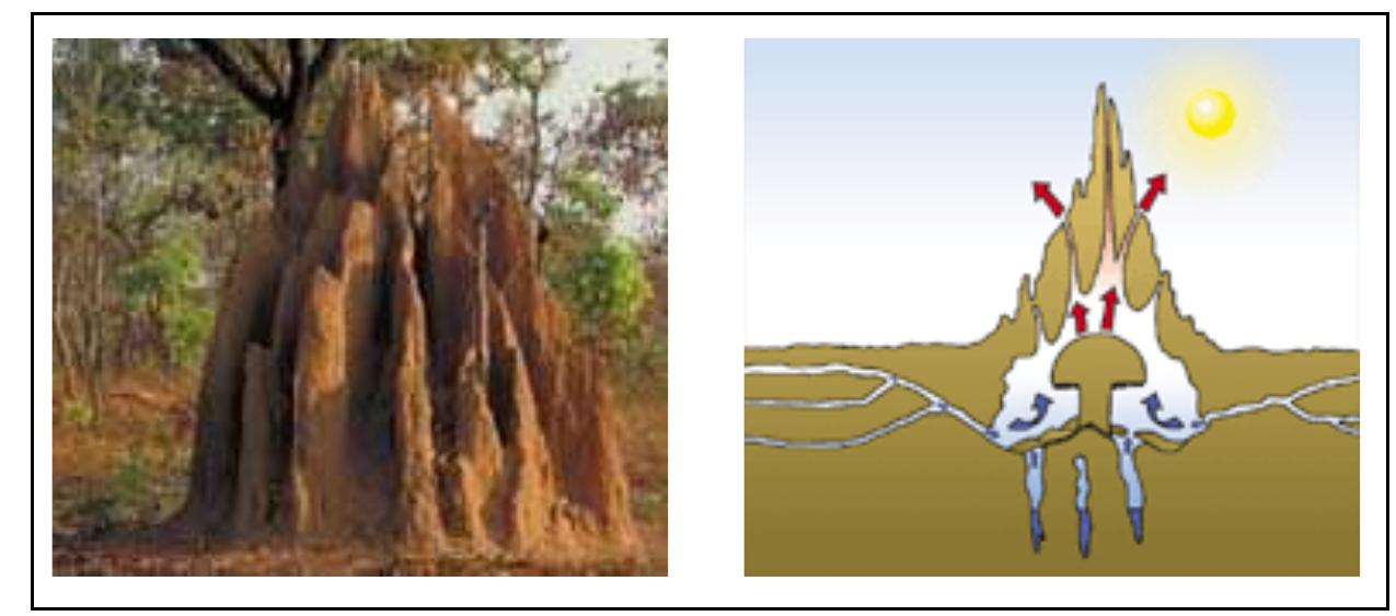 (PDF) COUNCIL HOUSE 2 (CH2), MELBOURNE CBD: A GREEN BUILDING SHOWCASE ...