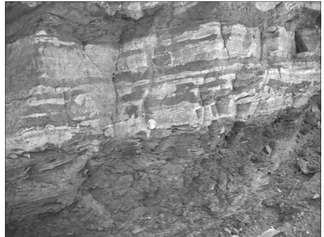 The flathead sandstone consists of beautifully trough