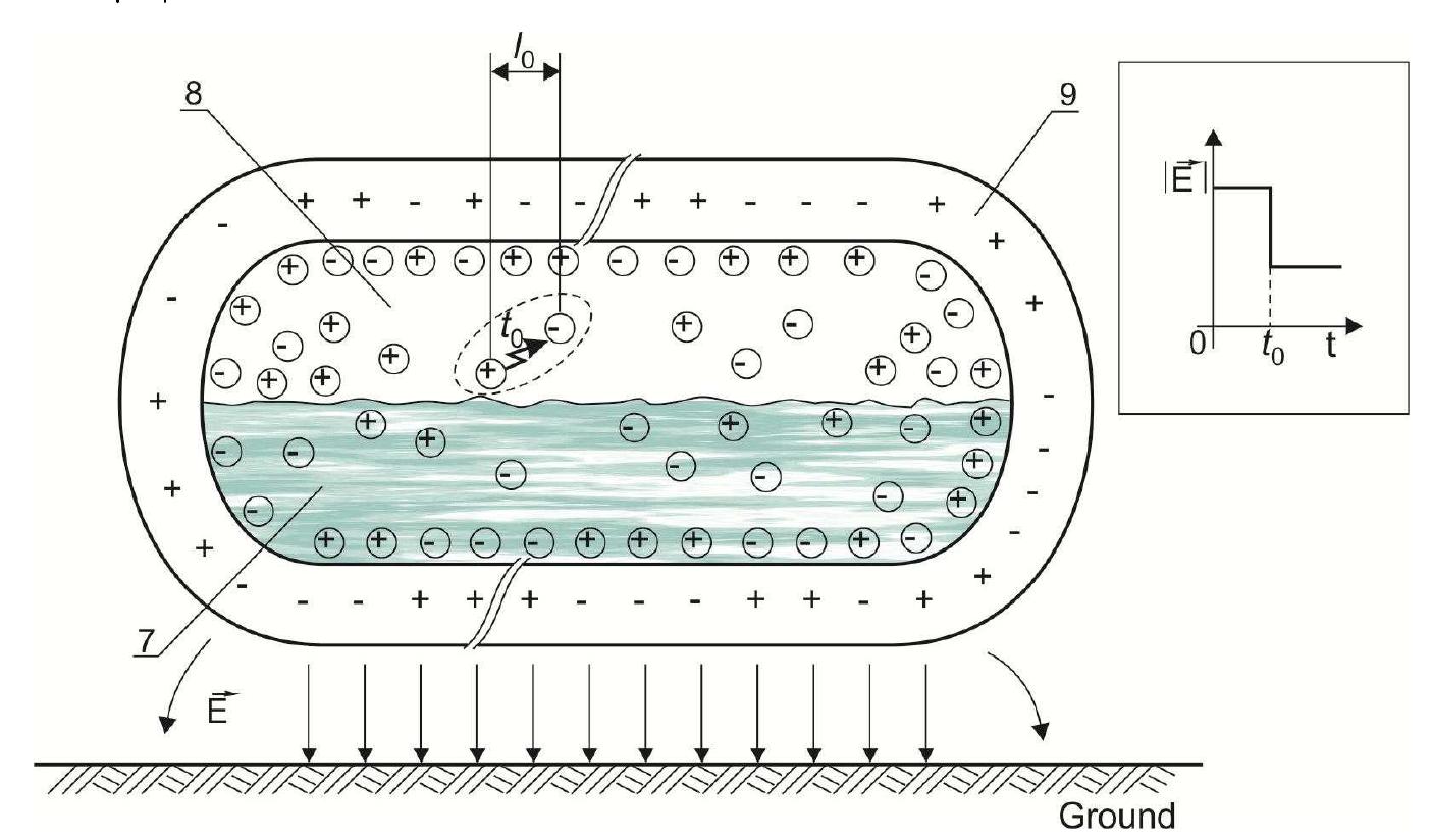 Planar (cross) section of the tank truck model in real