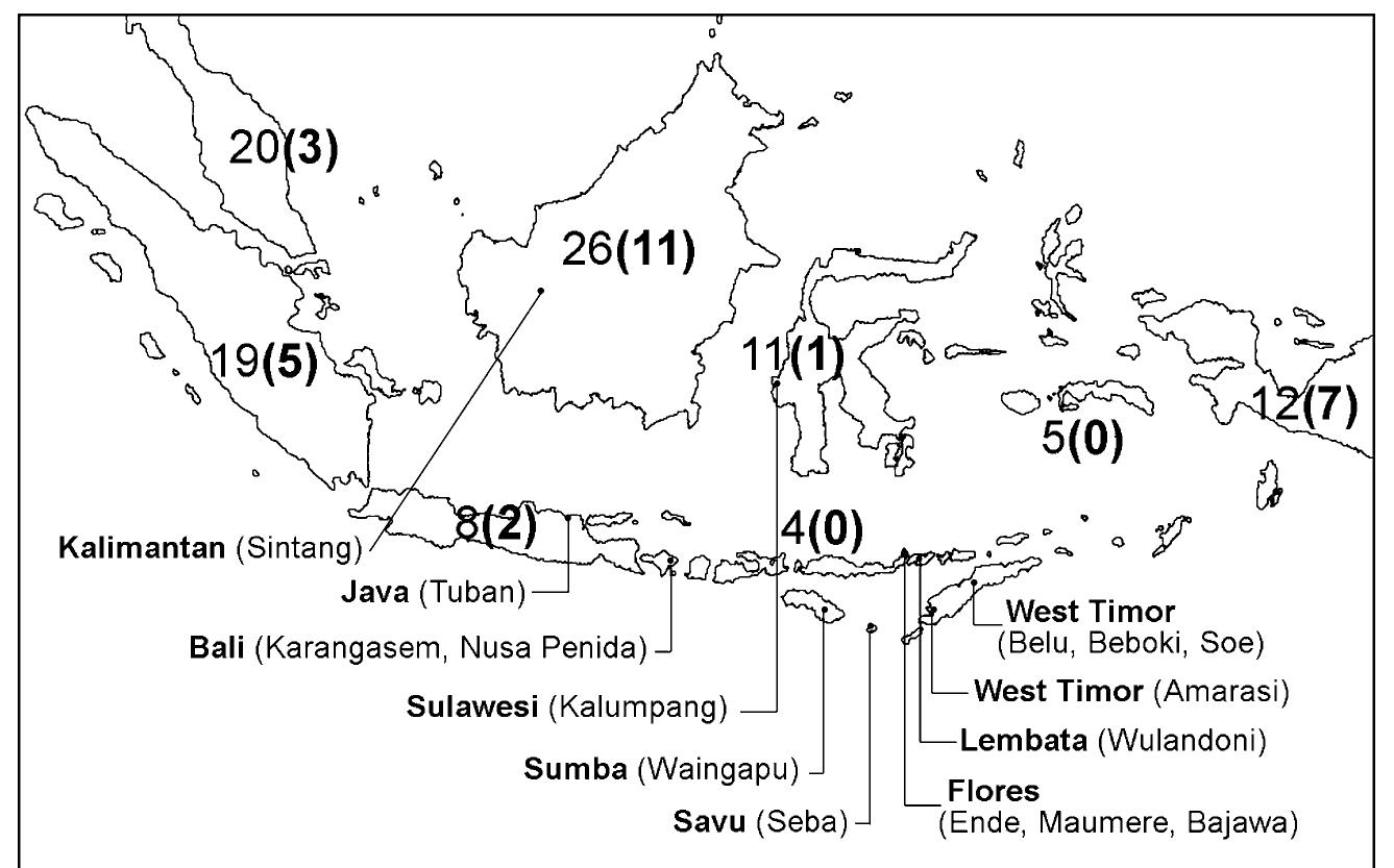 (PDF) Hanging by a Thread: Natural Metallic Mordant Processes in ...
