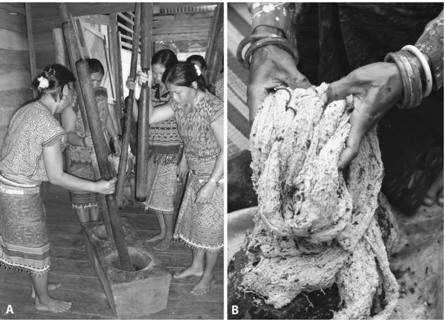 (PDF) Hanging by a Thread: Natural Metallic Mordant Processes in ...