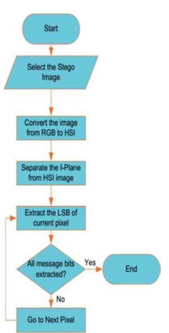 Extraction Algorithm Flowchart