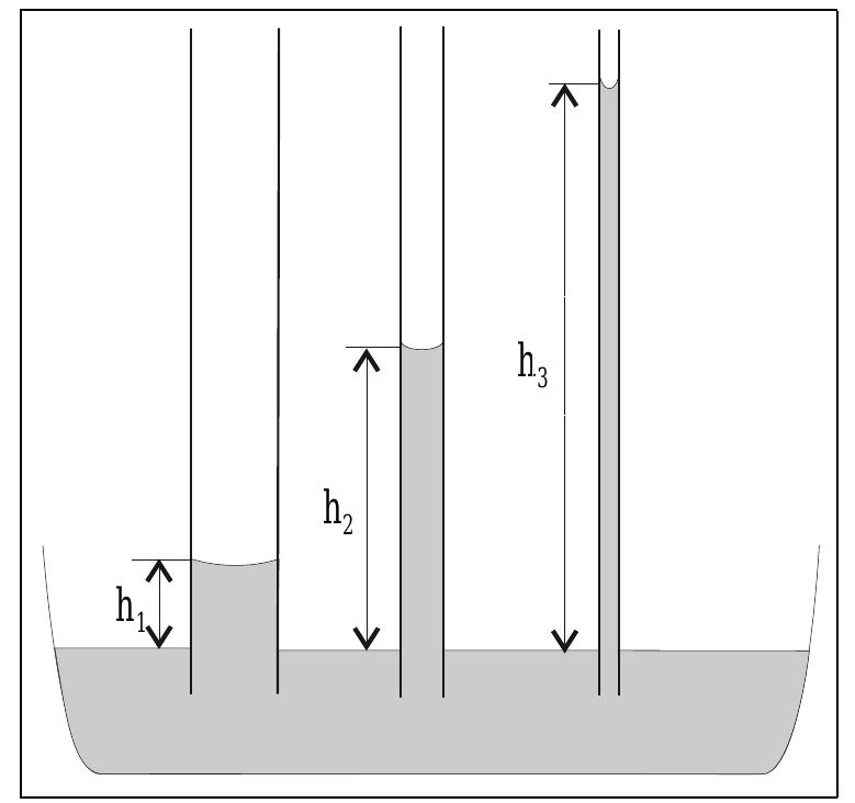 12: capillary water elevation in cylindrical tubes as func-