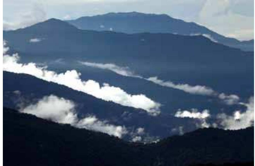 The warm and humid climate of sikkim leads to an extremely