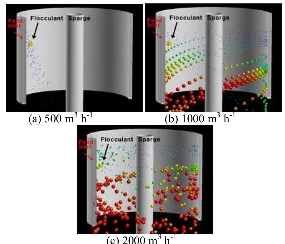 Visualisation of particle aggregation in the feedwell.