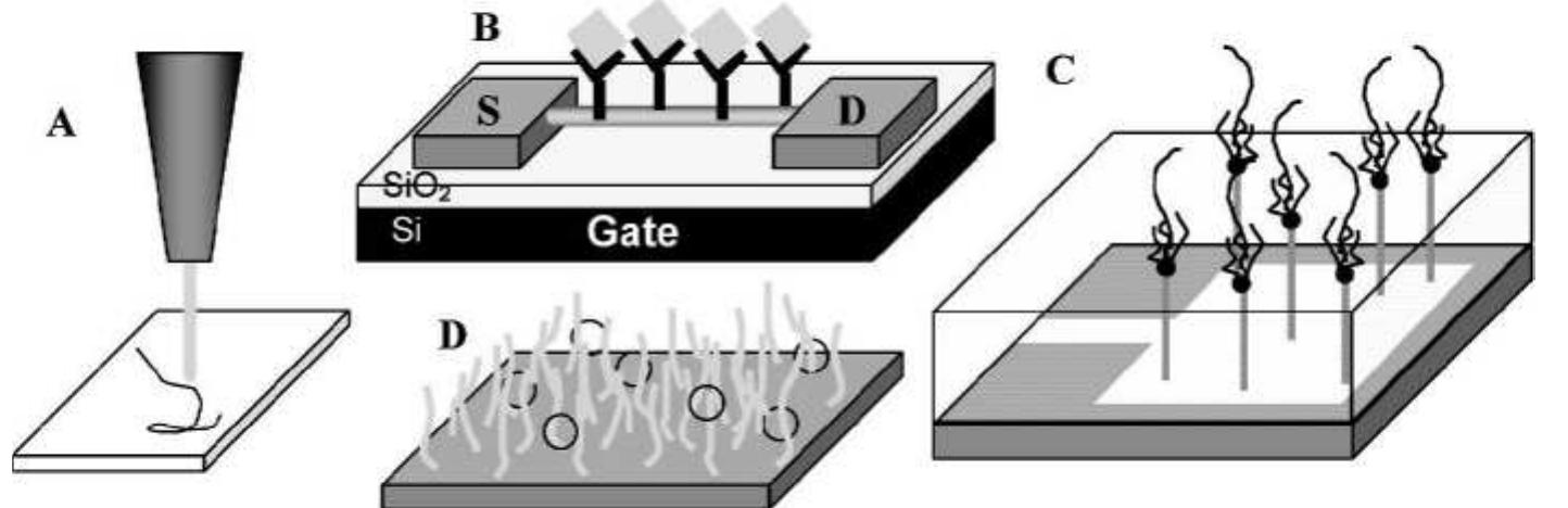 1 schematic of four types of cnt devices for biological