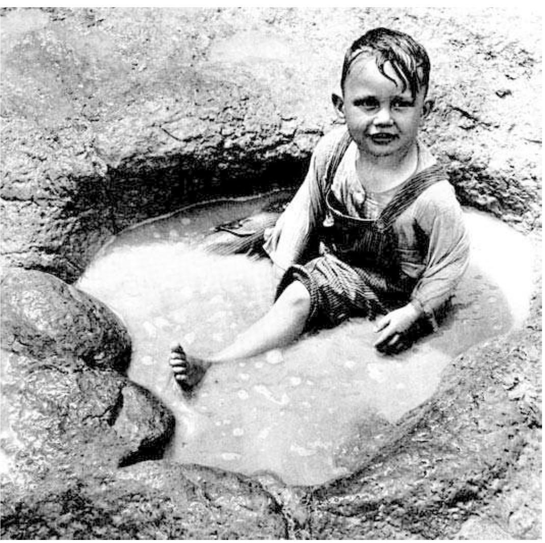 In the footsteps of giants. giant sauropod tracks, such as