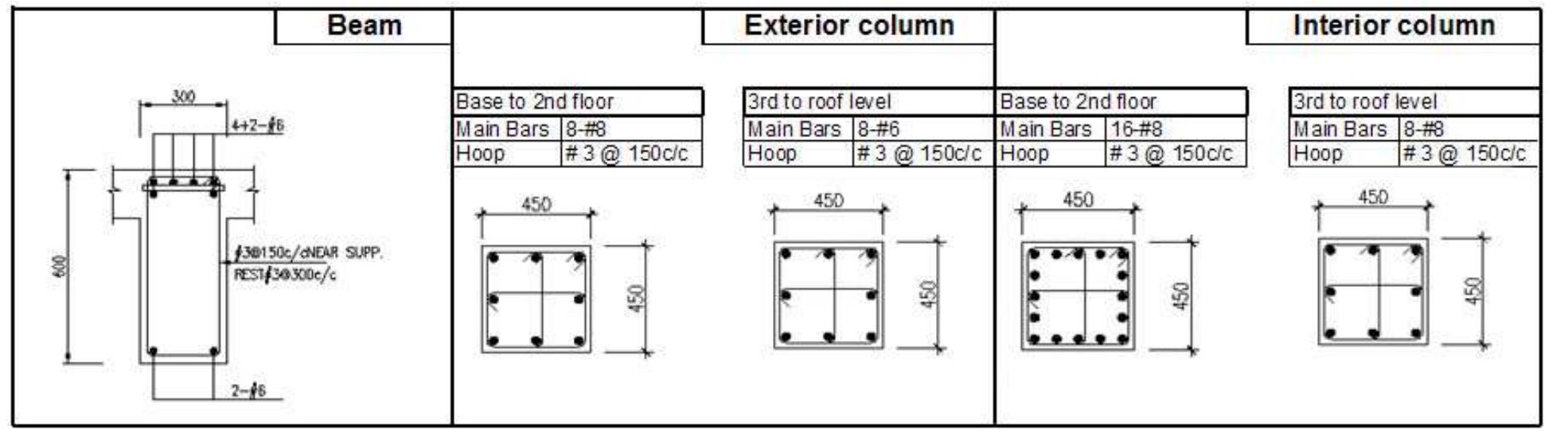 Structural details of typical beam and columns the typical