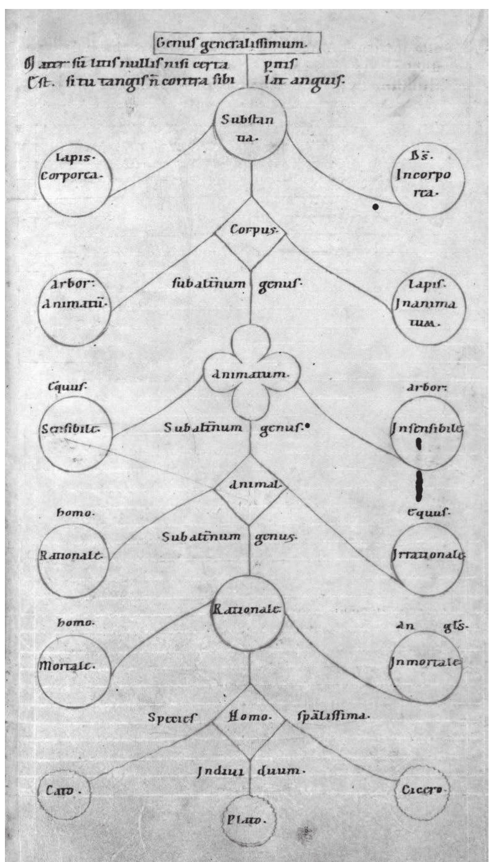 Figure 10 - The Medieval Tree of Porphyry: An Organic
