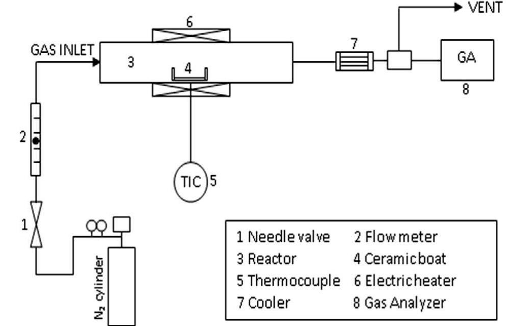 Schematic diagram of the horizontal tubular reactor used in