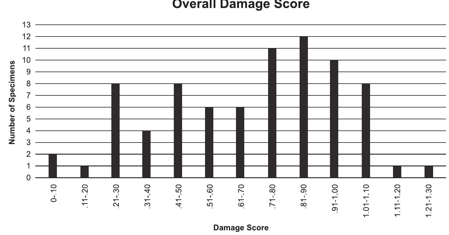Table indicating damage scores of specimens in fossil hall