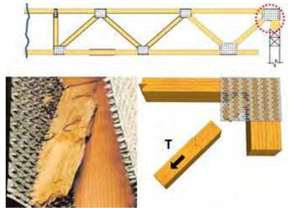 Illustration of top bearing parallel chord truss (top) and