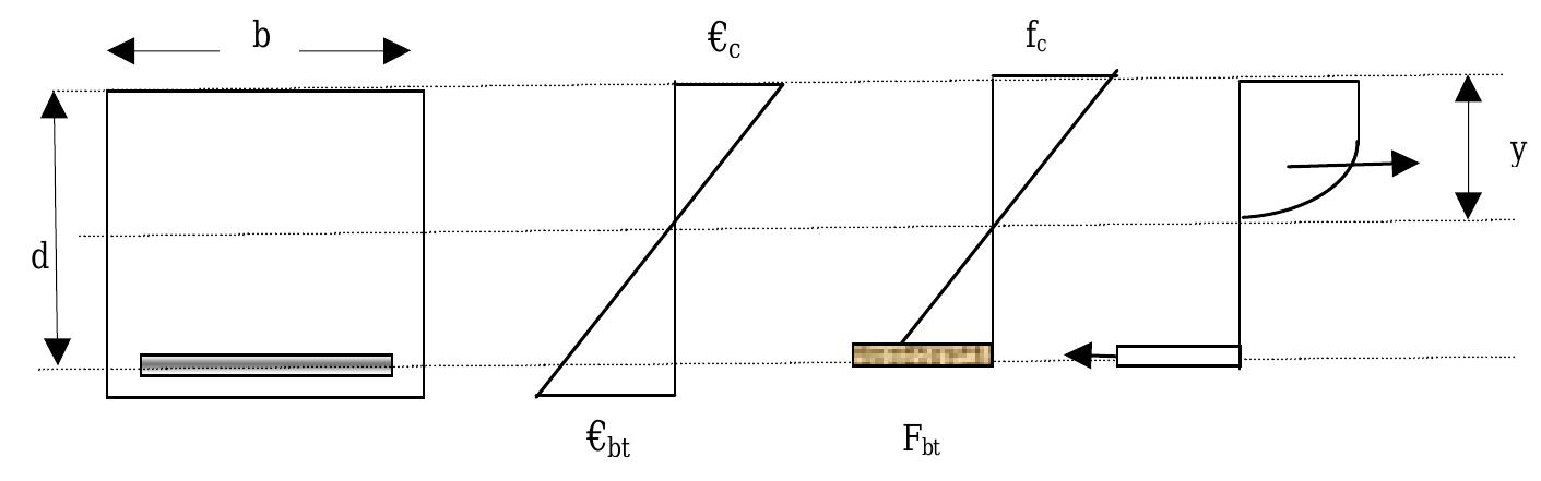 2: stress and strain distribution in a beam subjected to