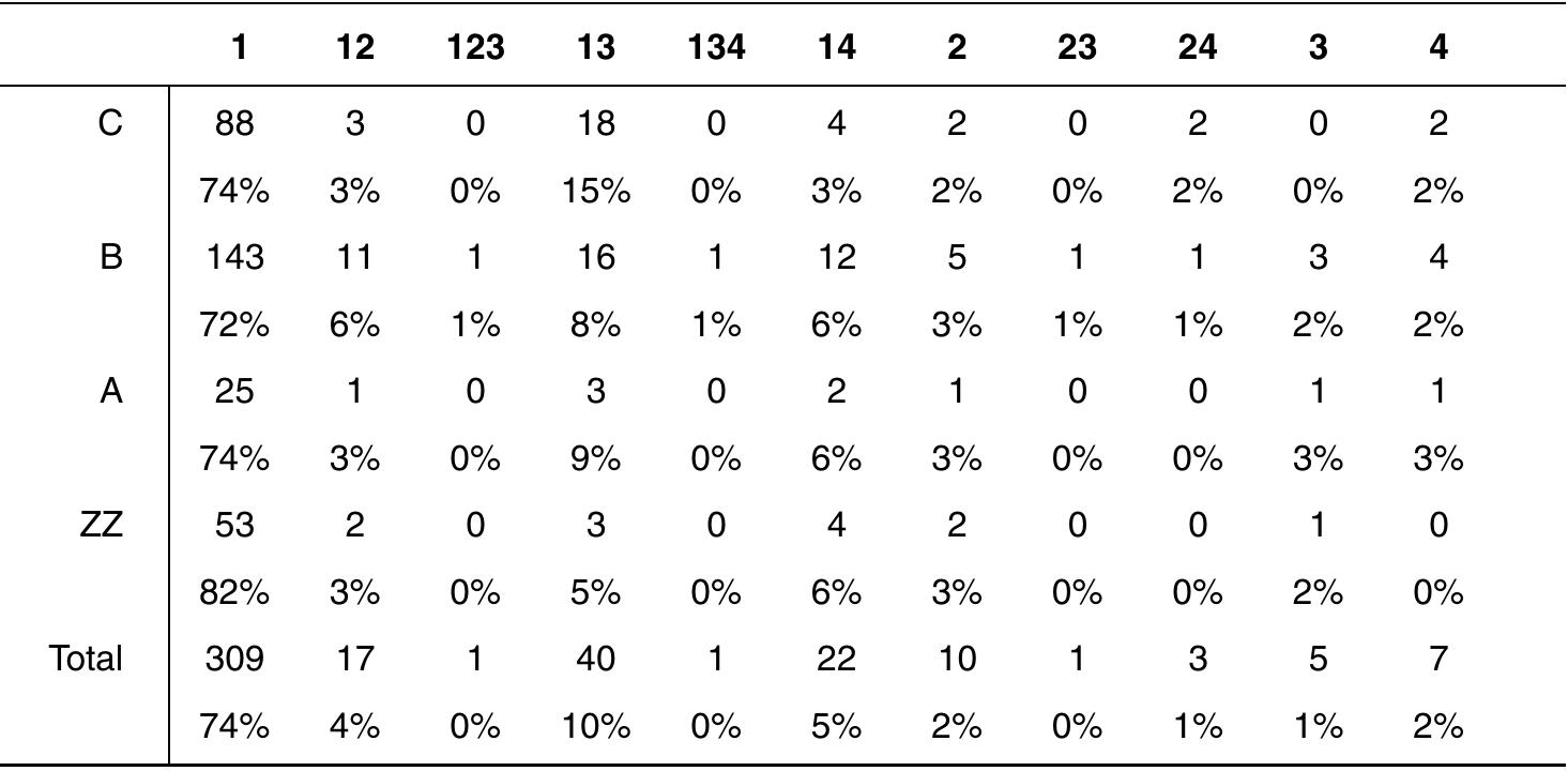 8 quartzite complete flake dorsal scar pattern, proportion