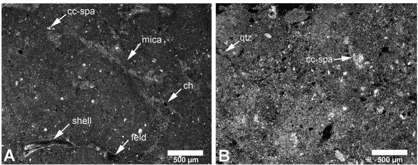 Thin section micrographs of reference earths. a) tte and b)