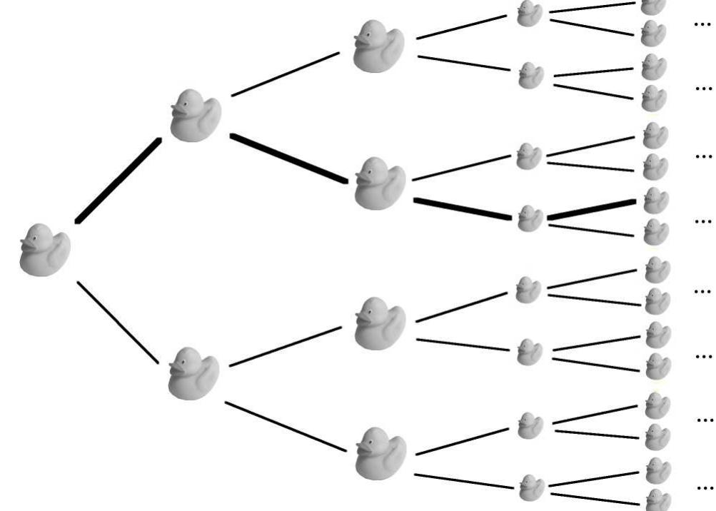 The chart below shows an infinite rubber ducky family tree,