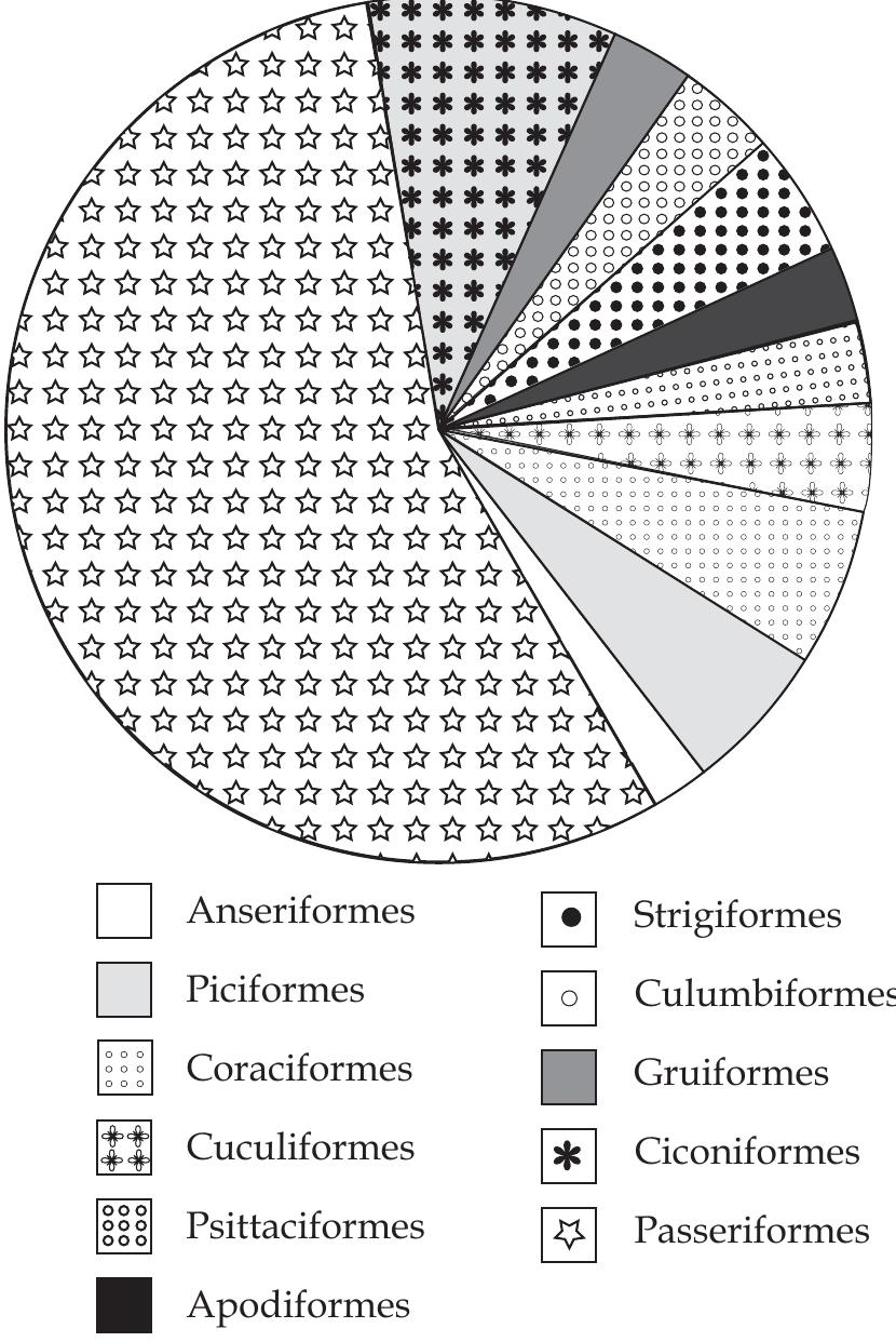 : pie chart showing the comparison of abundance of species