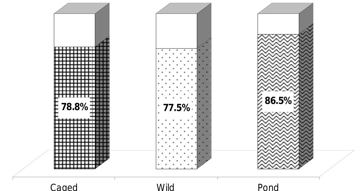 parasite prevalence in tilapia from different aquatic