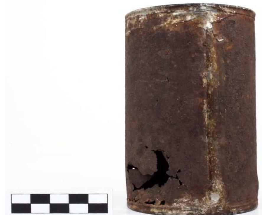 (PDF) What Can This Be? A Practical Workshop on Tin Can Identification ...