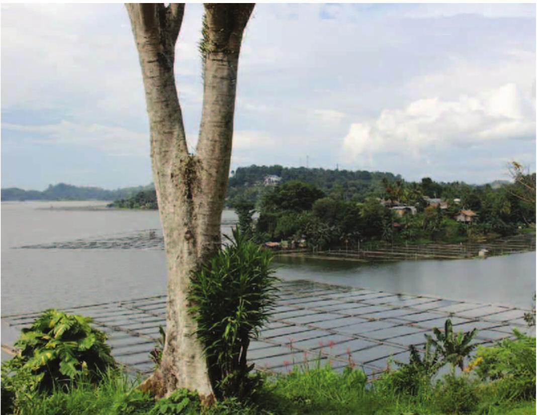 Traditional cages in lake sebu, south cotabato. cages in