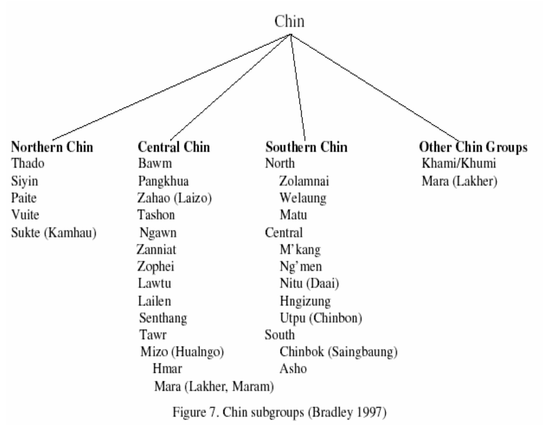 Figure 8 - Genetic classification of the Zo language and