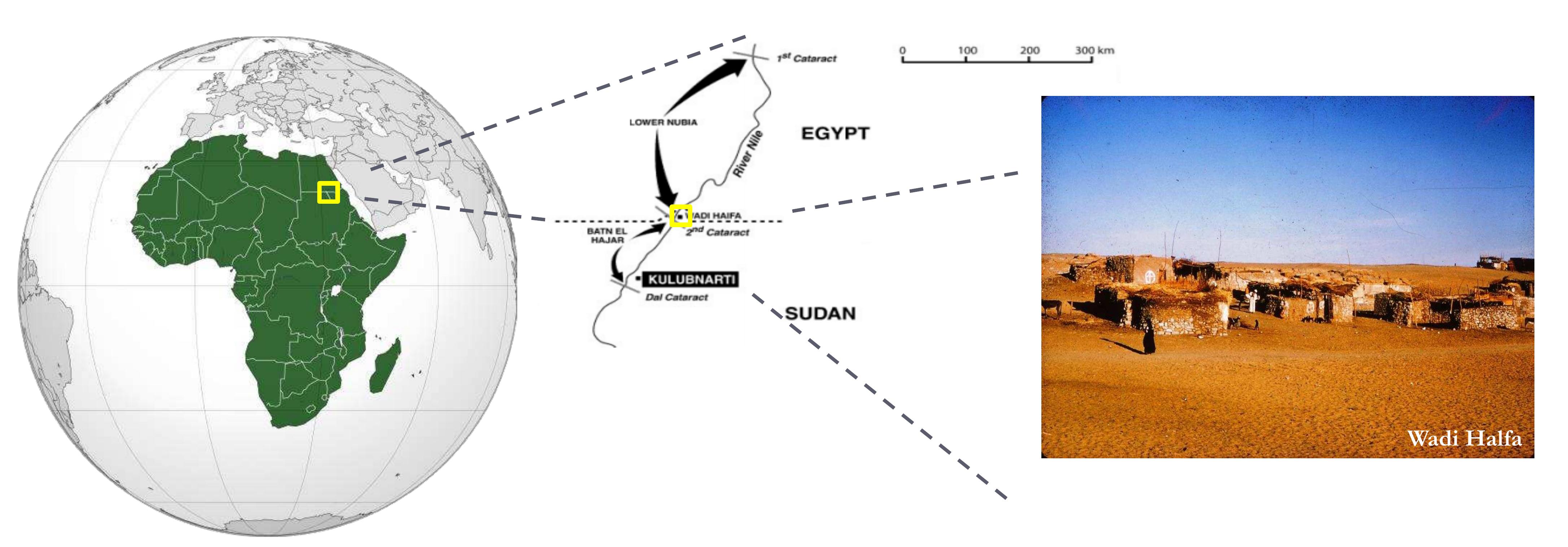 Figure 1 - from Ancient DNA analysis of an infant from