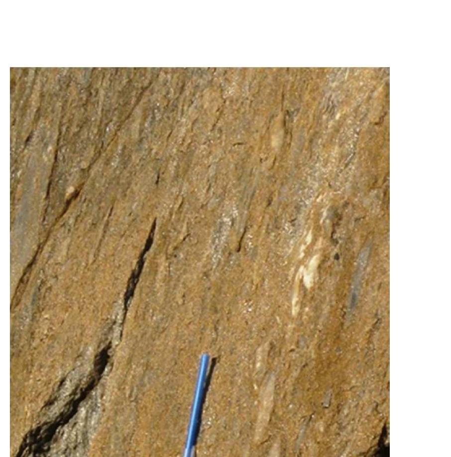 Stretched pebbles in quartzite