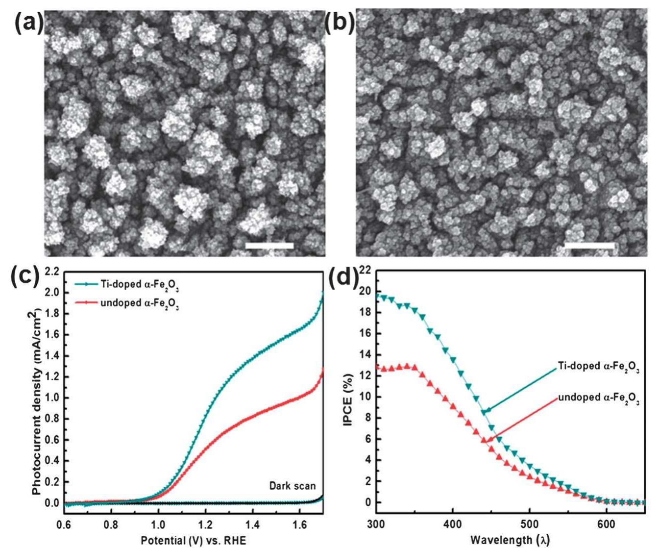 (a) sem images of an undoped a-fe203 film. (b) sem images of
