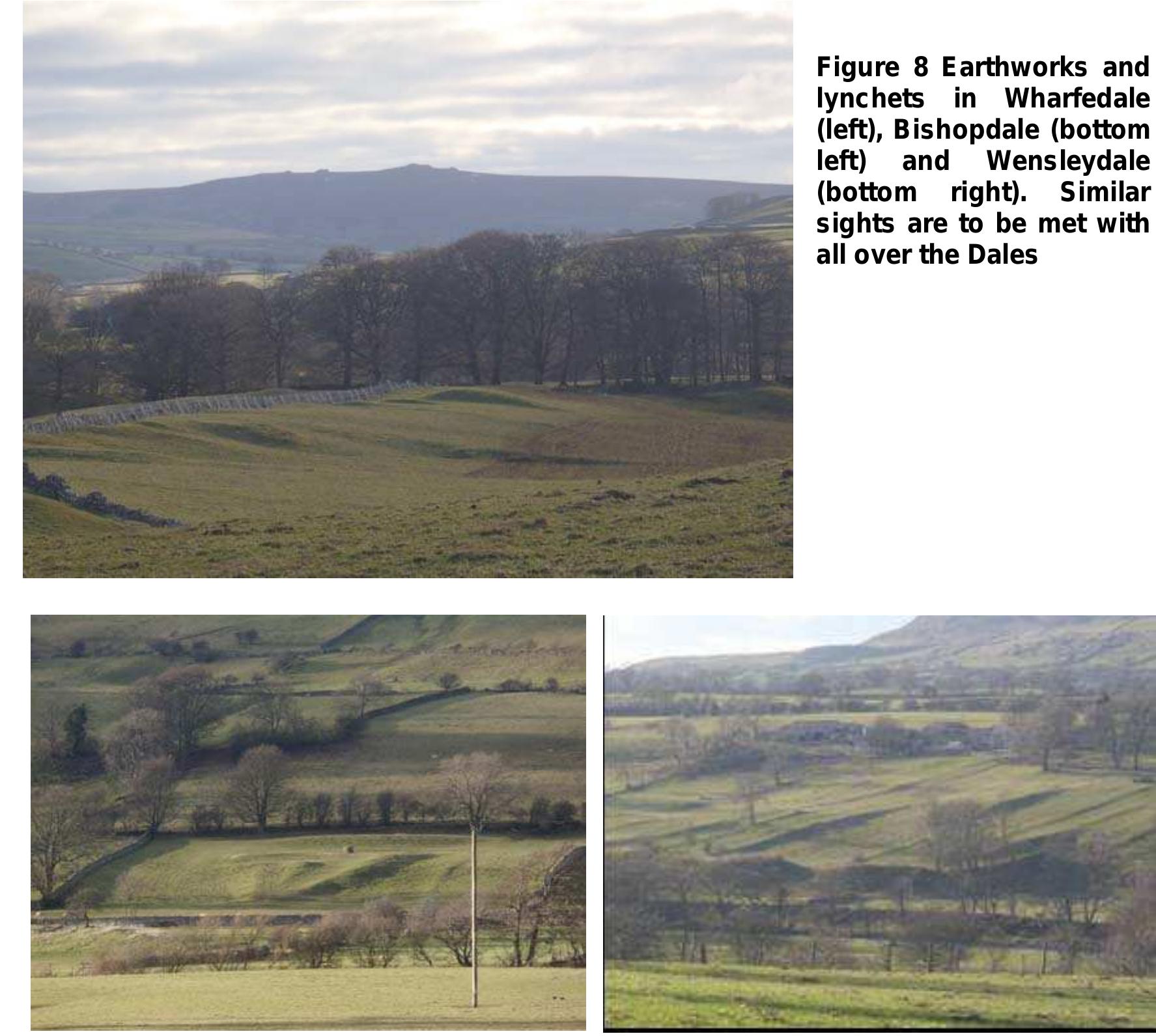 Dudderhouse hill long cairn on its raised limestone plateau