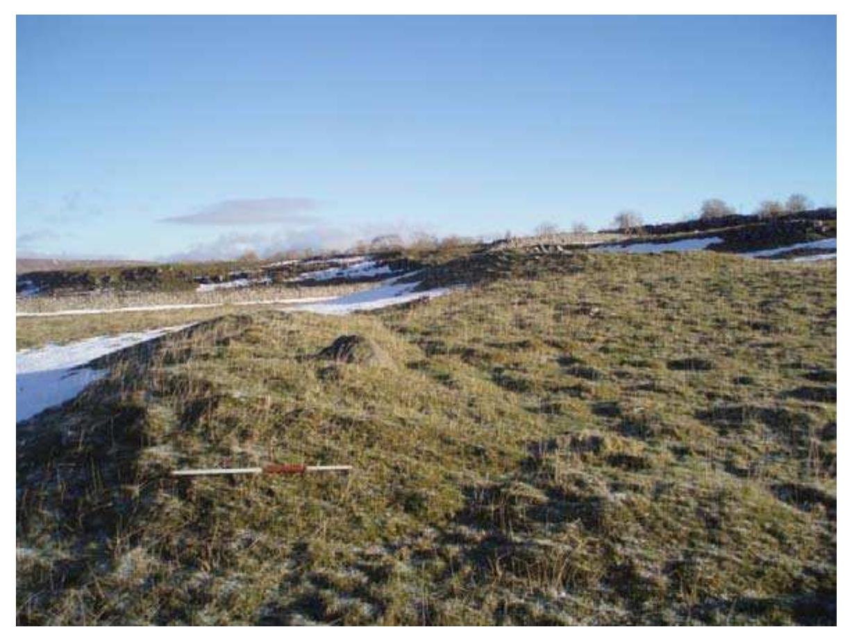 Dudderhouse hill long cairn on its raised limestone plateau