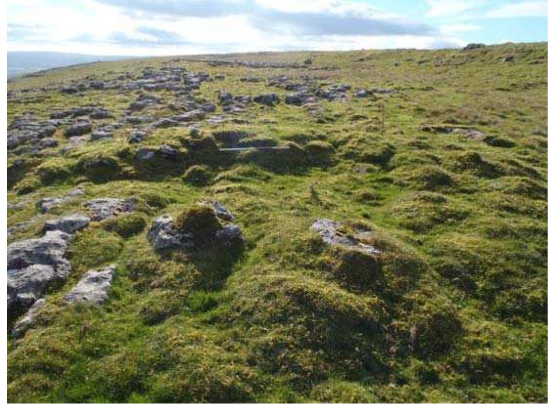 Dudderhouse hill long cairn on its raised limestone plateau