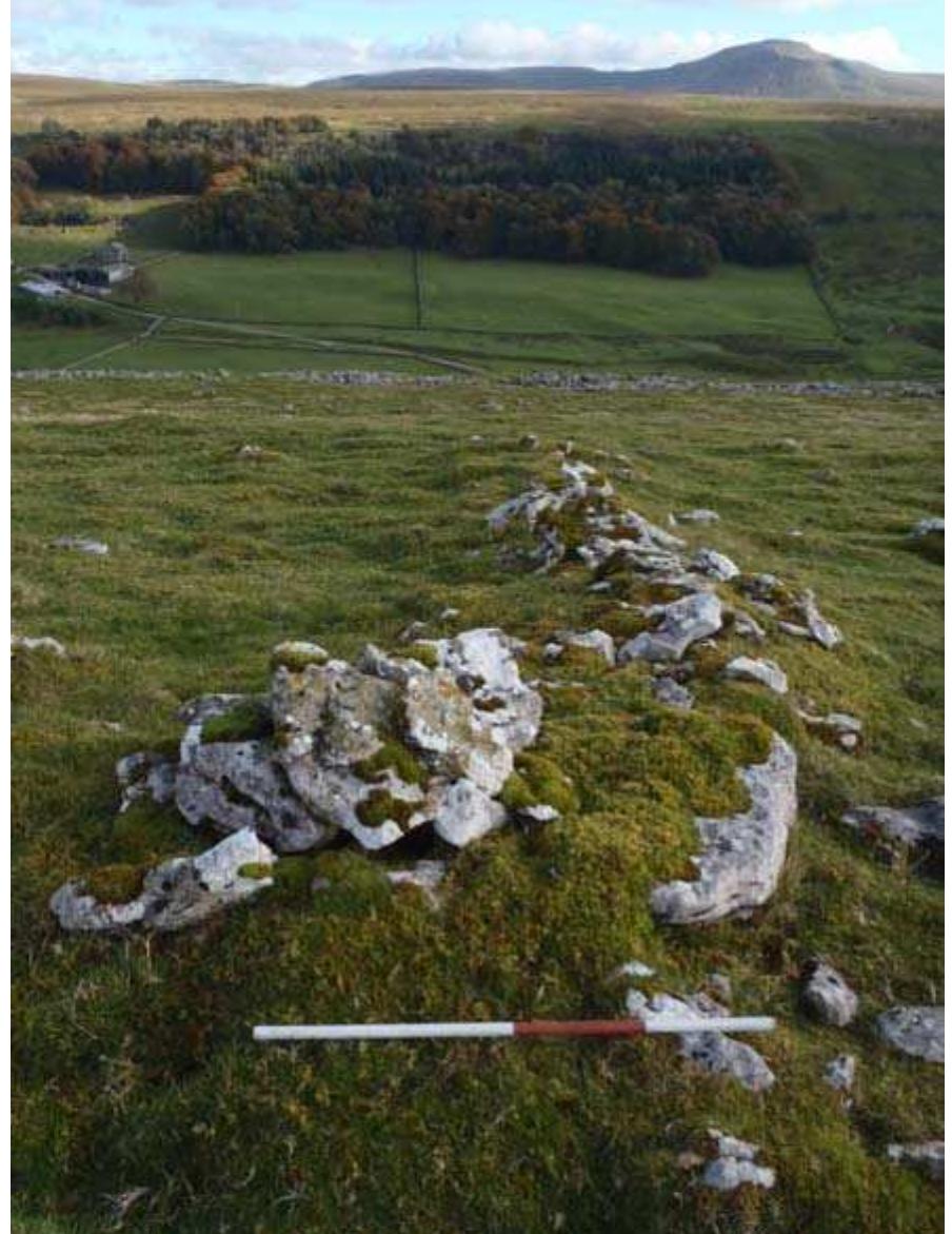 Dudderhouse hill long cairn on its raised limestone plateau