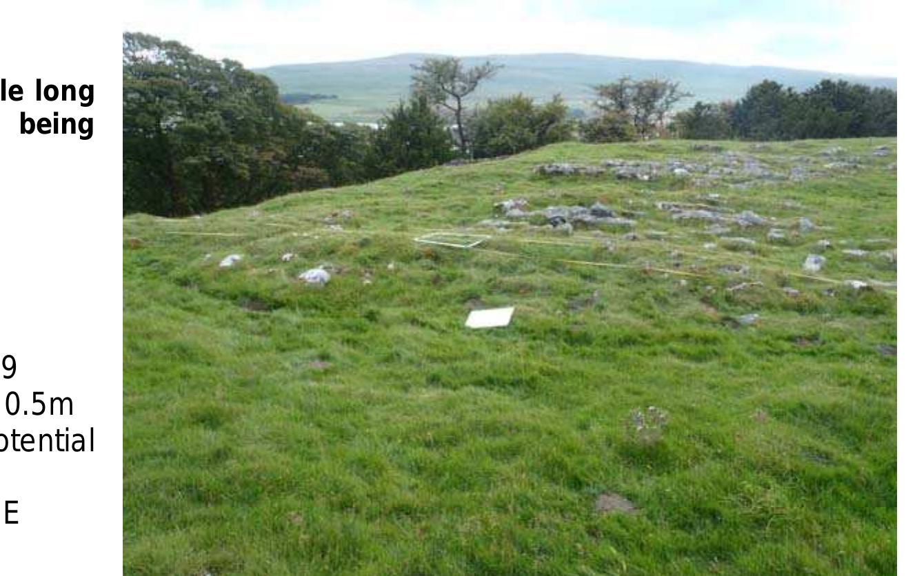 Dudderhouse hill long cairn on its raised limestone plateau