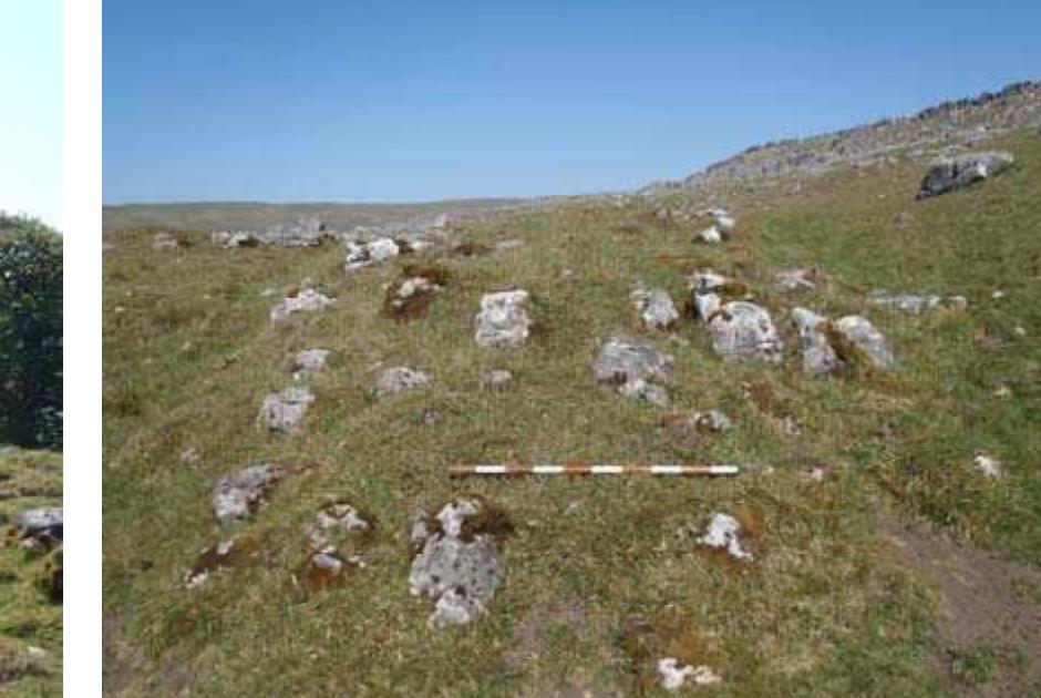 Dudderhouse hill long cairn on its raised limestone plateau