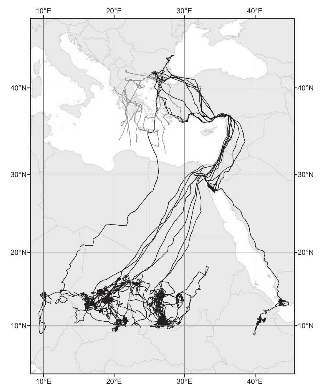 Map of juvenile egyptian vulture autumn migration and winter