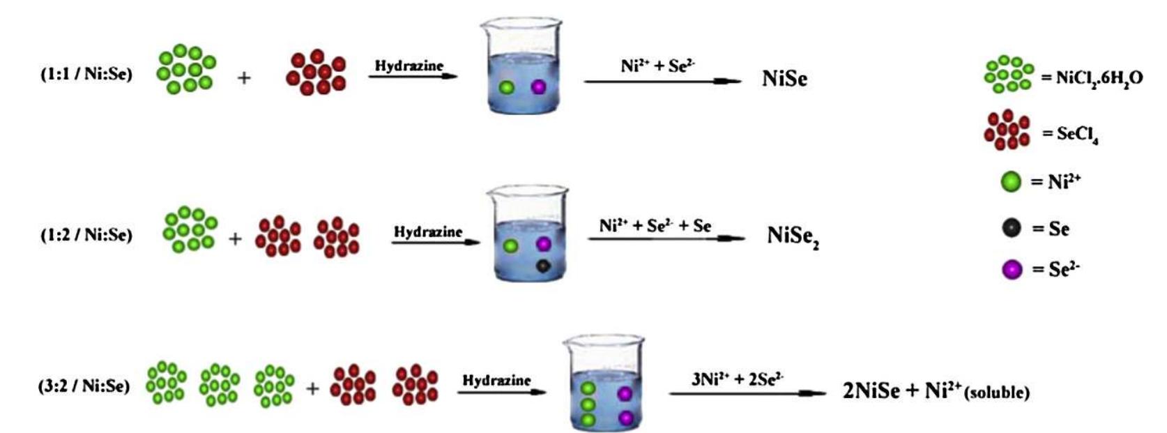 Schematic diagram illustrating the formation of nise and