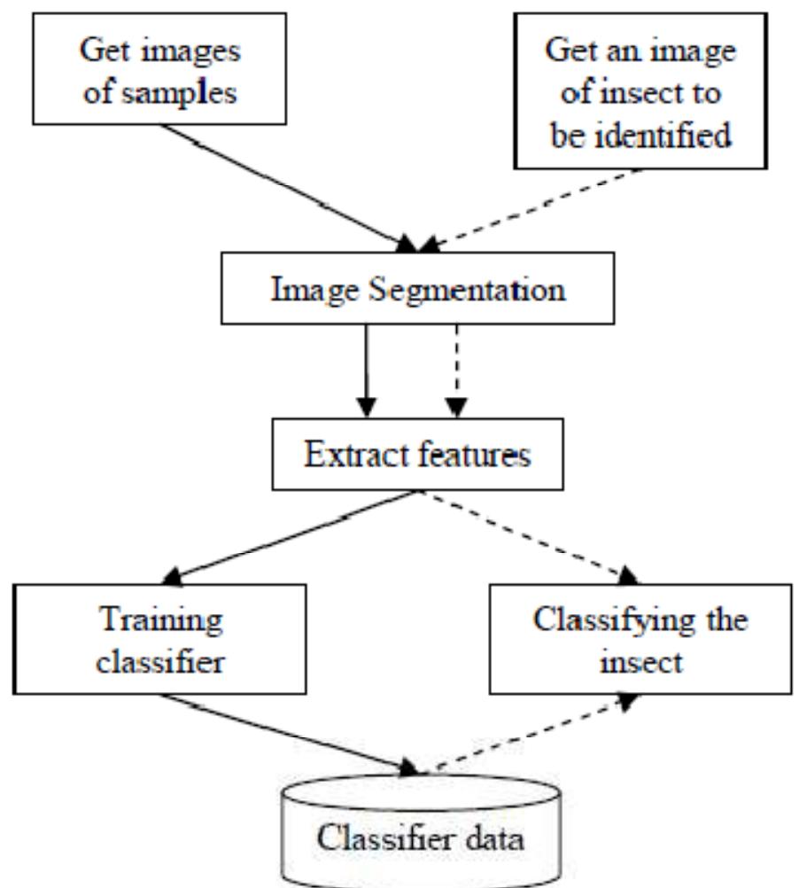 Main flowchart of training and recognition [adapted from