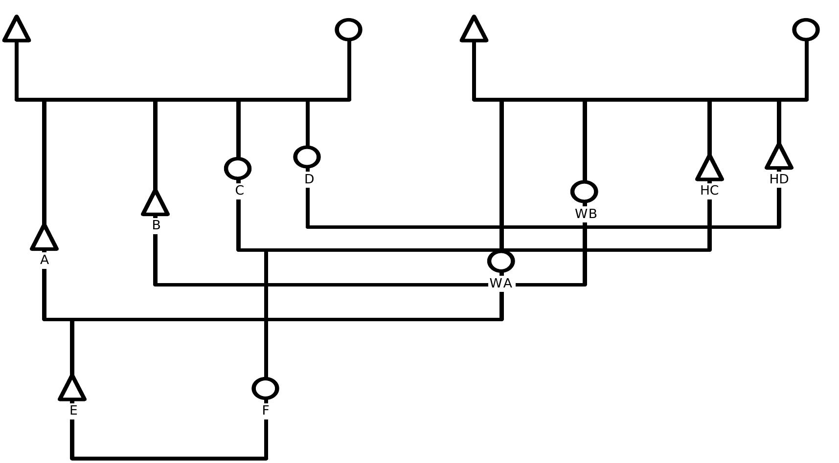 Indeed, in one family of the cetin lineage (figure 8), two