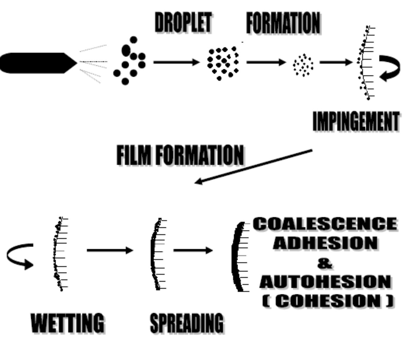 Schematic representation of the aqueous film- coating