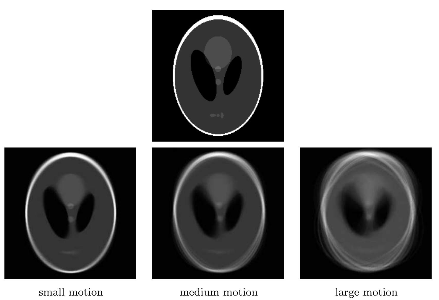 Examples of motion blurred images, using the blurring