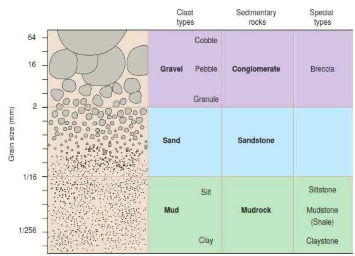 (PDF) Sedimentary Rocks in the United Arab Emirates