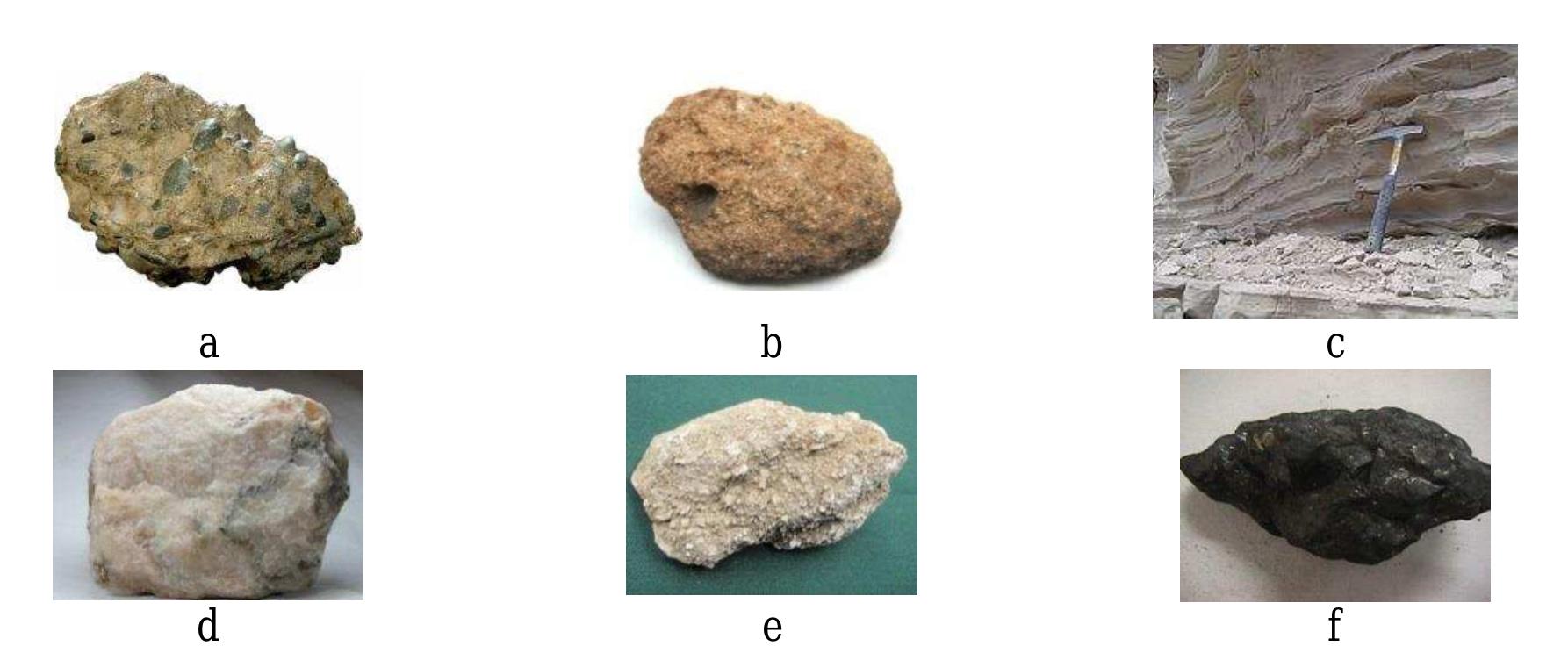 (PDF) Sedimentary Rocks in the United Arab Emirates