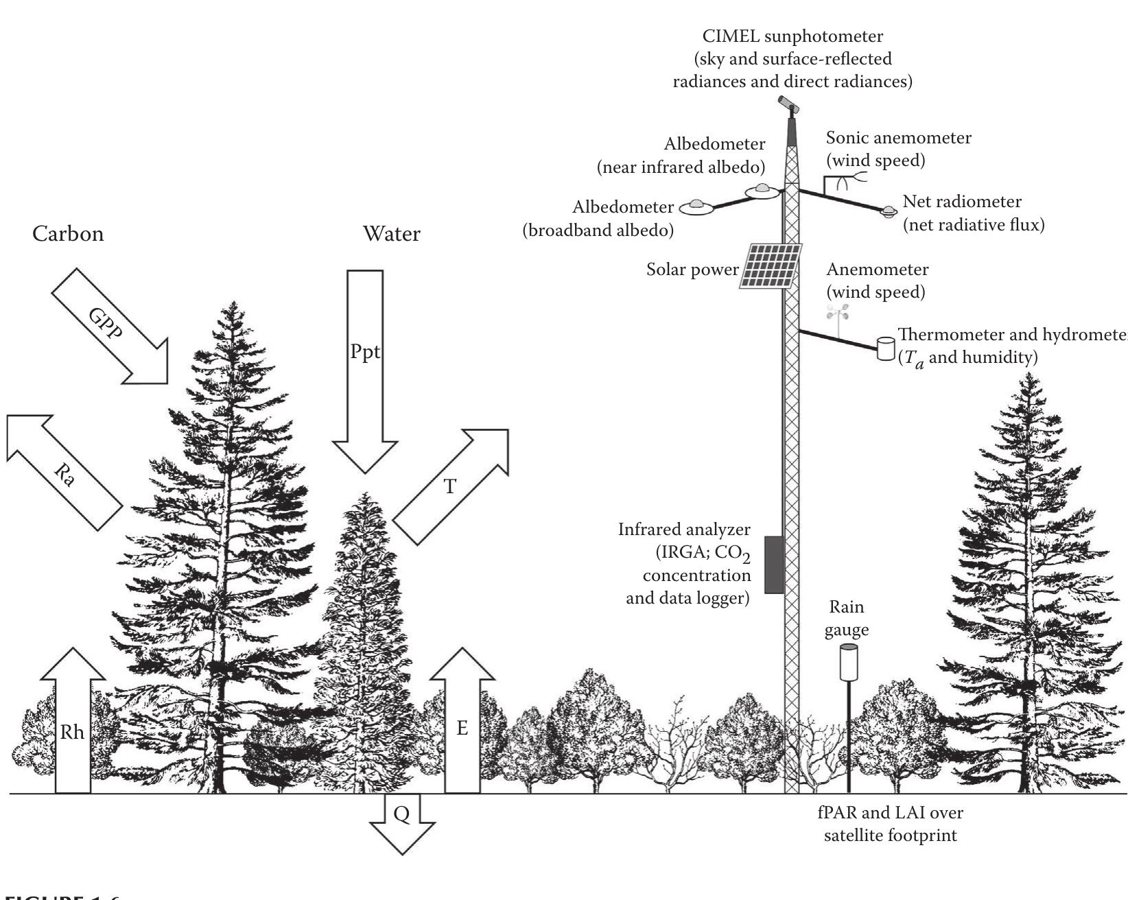 A generalized fluxnet tower configuration diagram, showing
