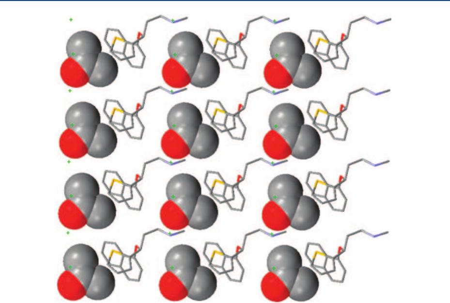 Structural forms of 1. the x-ray crystal structure of the